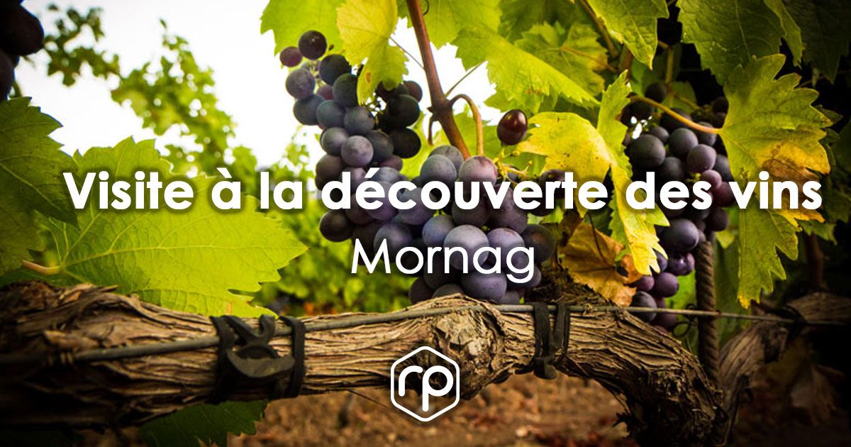 Visite à la découverte des vins de Mornag | ResaPrivee