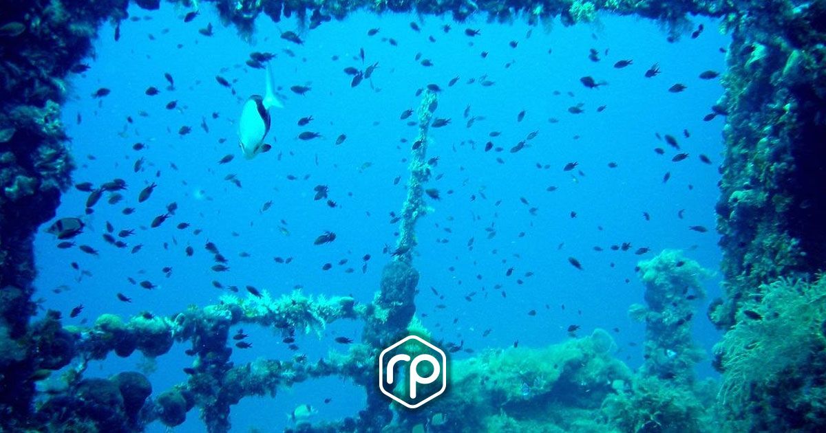 Exploration diving in Mahdia for experienced divers - Subway Mahdia ...
